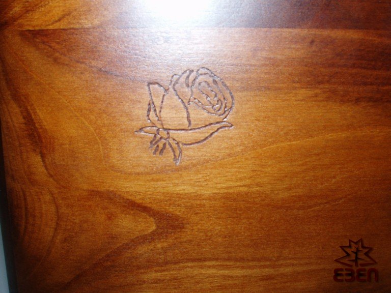 Rytina - Růže 1 :: Eben.cz